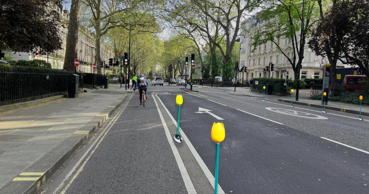 Sussex Gardens 'Tulip Wands' aim to improve cycling safety ...